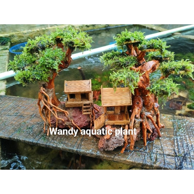 Jual miniatur pohon bonsai rumah aquascape-akar raksamala hiasan ...