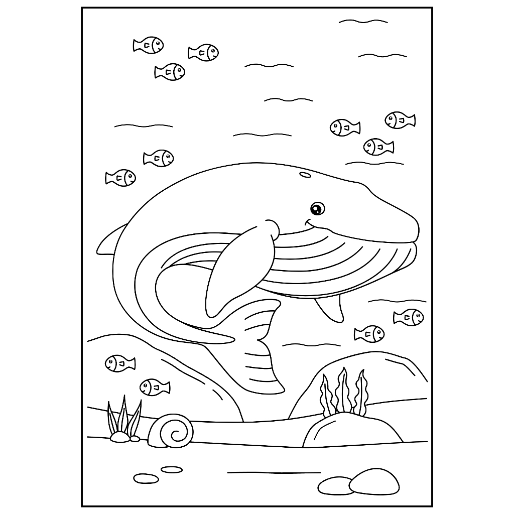 Jual LEMBAR SKETSA MEWARNAI TEMA IKAN HEWAN LAUT / MAINAN EDUKASI ...