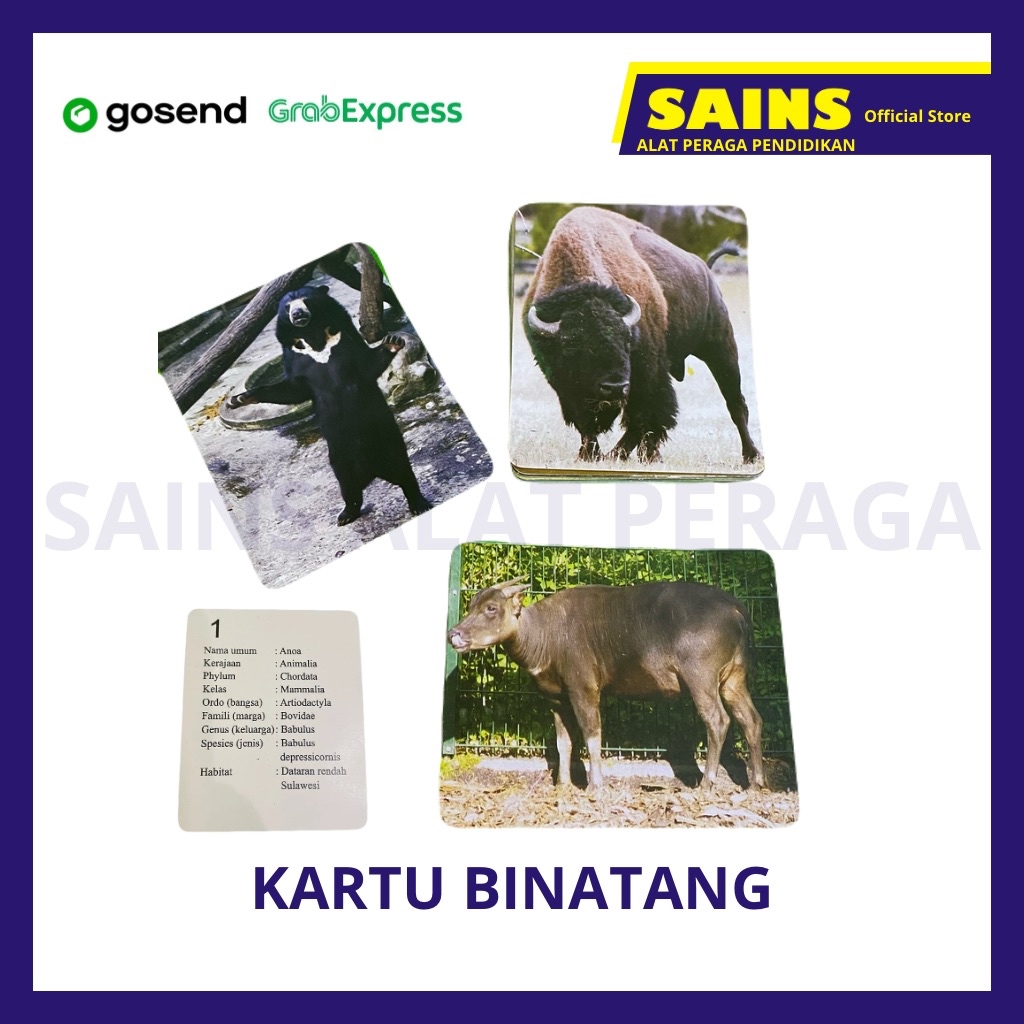 Jual Kartu Binatang / Flash card Animal | Shopee Indonesia