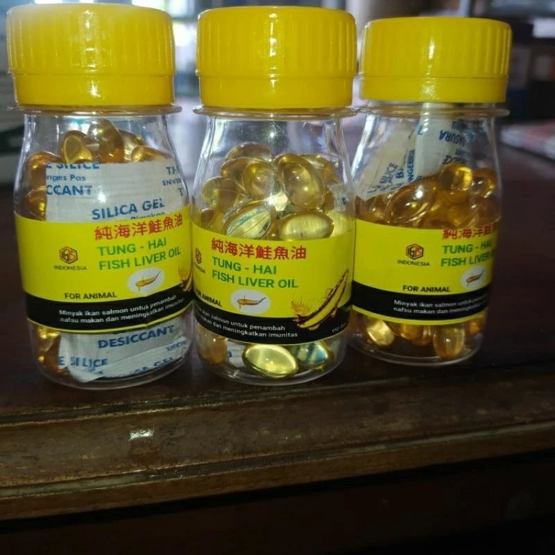 Jual MINYAK IKAN TUNGHAi (50biji/botol) | Shopee Indonesia