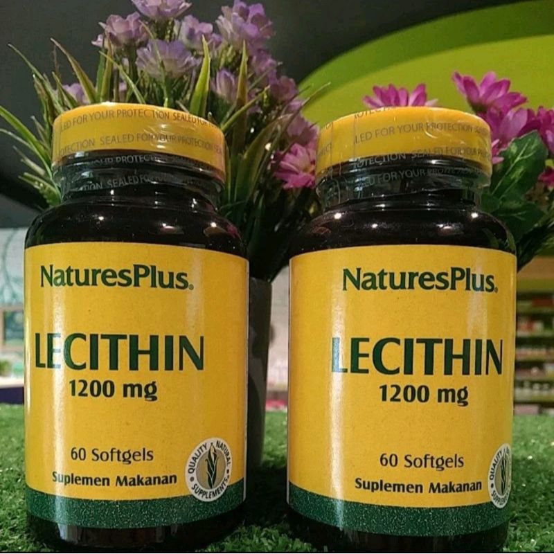 Jual Nature's Plus Lecithin (60) Softgels | Shopee Indonesia