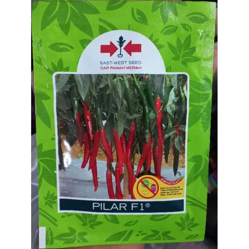 Jual Benih bibit Cabe merah besar PILAR F1 10 gram ( original ...