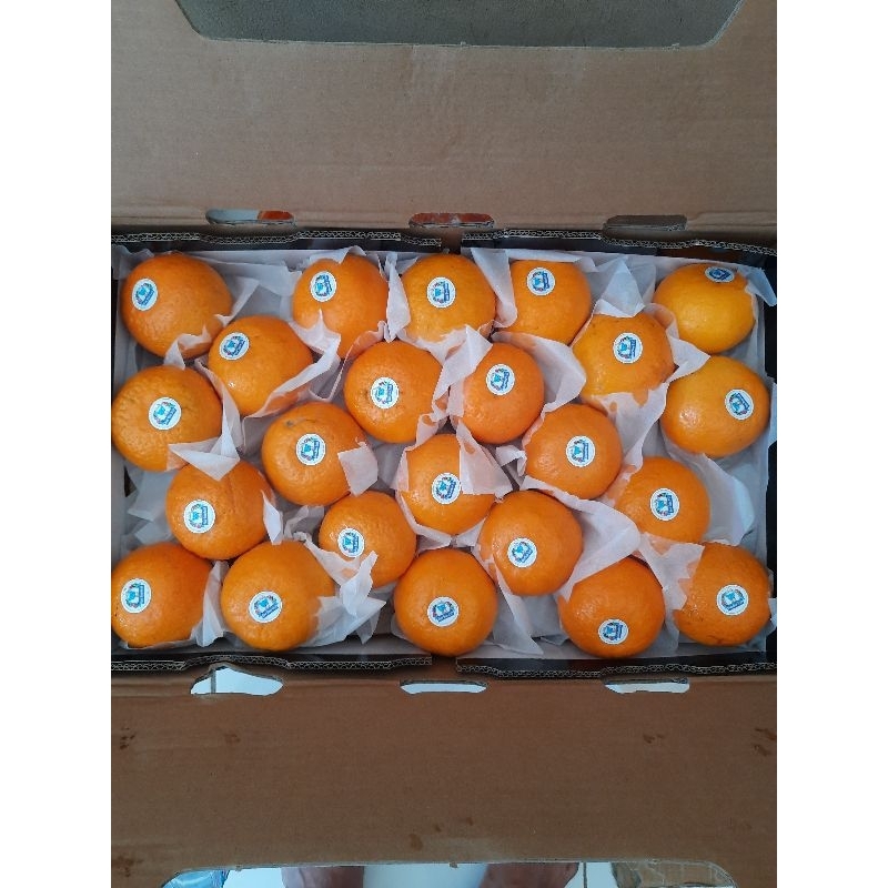 Jual jeruk mandarin manis /1 dus | Shopee Indonesia
