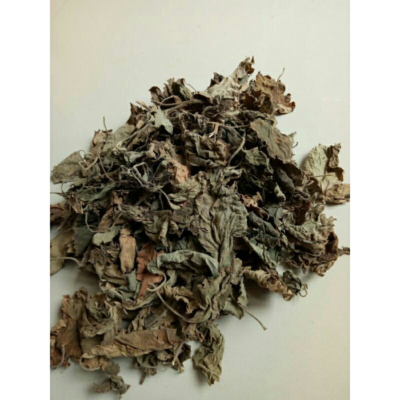 Jual Daun nilam/dilem kering 1kg Pogostemon cablin | Shopee Indonesia