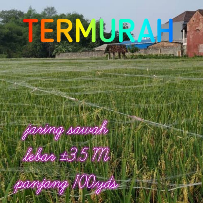 Jual jaring Sawah TERMURAH lubang 3 jari panjang 100yds jaring sawah ...