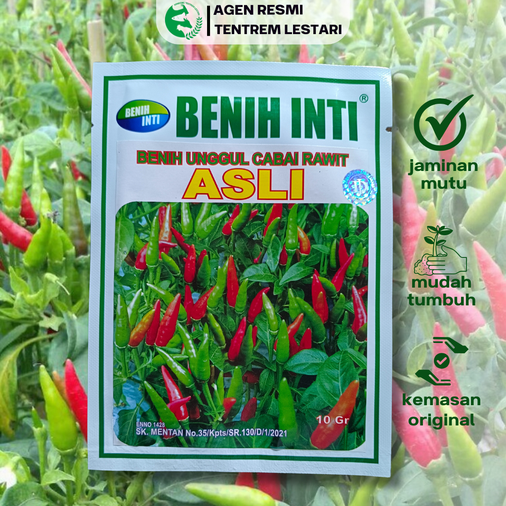 Jual Benih Cabe Rawit Hijau 10 gram Asli Cap Benih INTI Tegak Pedas ...