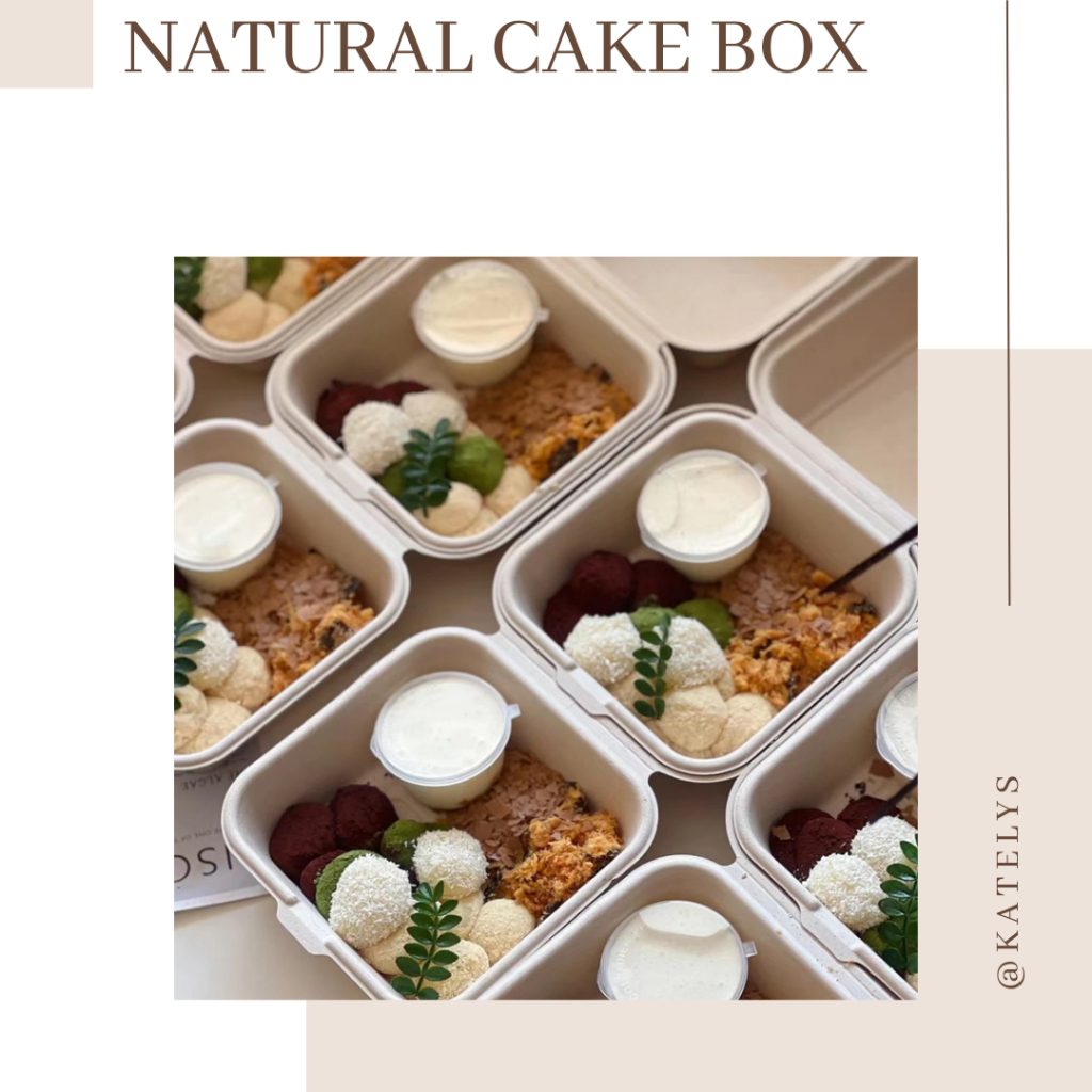 Jual Kotak Baggase Bento Kue Dessert Makanan | Natural Cake Box ...