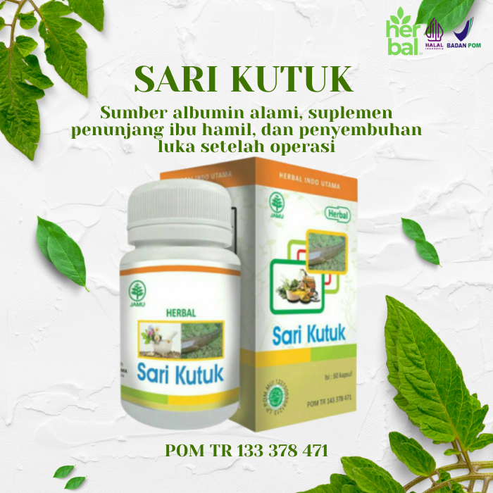 Jual obat SARI KUTUK pro albumin albusmin ekstrak minyak kapsul pil kutuk herbal plus kesehatan ...