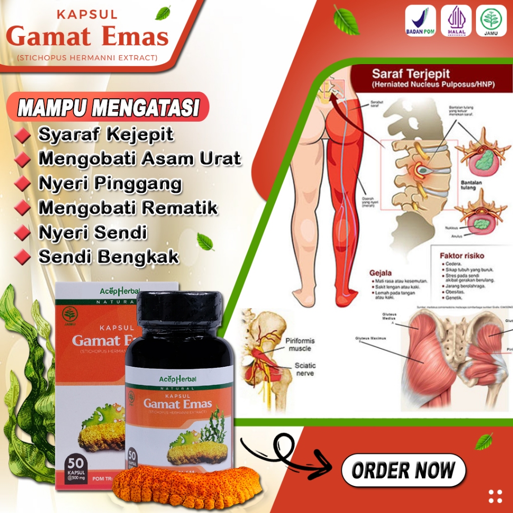Jual Obat Asam Urat Sakit Pinggang Nyeri Sendi Rematik Saraf Kejepit ...