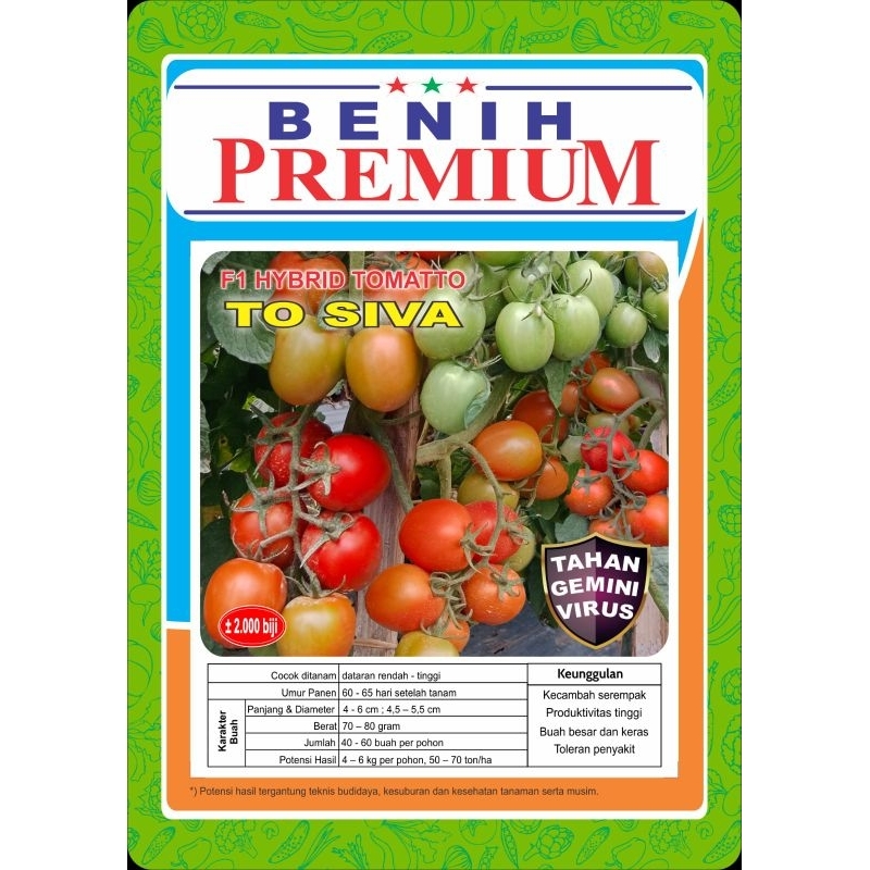 Jual Benih Bibit Tomat Hibrida TO SIVA F1 isi -+2000 Biji Original ...