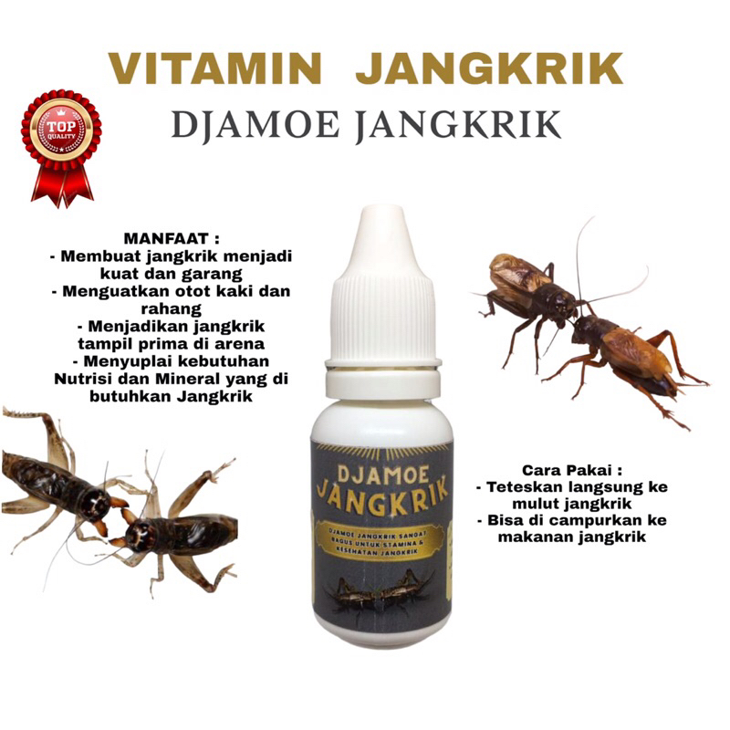 Jual vitamin jangkrik aduan vitamin jangkrik petarung vitamin fighter ...