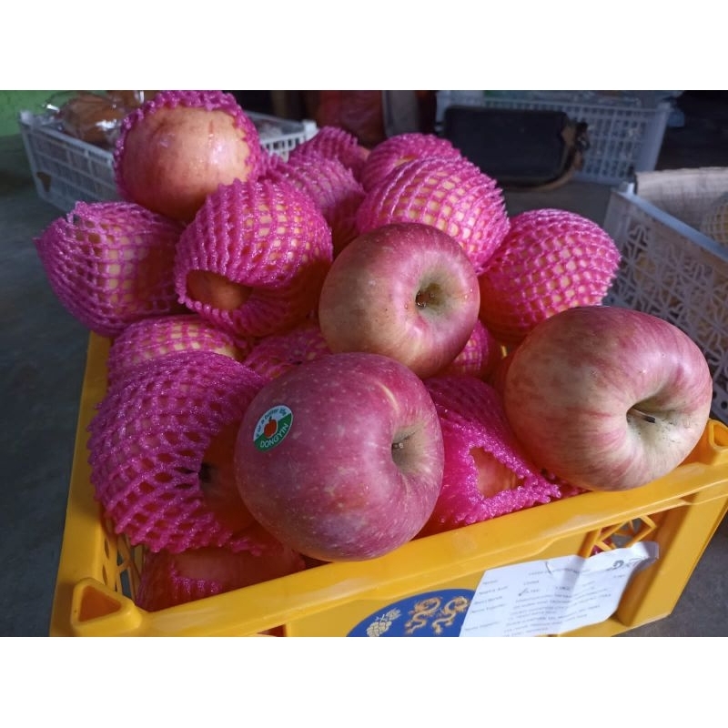 Jual apel fuji fresh 1kg | Shopee Indonesia