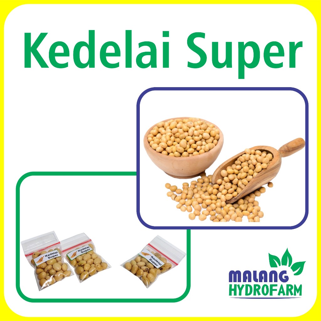 Jual Benih Kedelai Super Unggulan Berkualitas bibit biji repack tanaman ...