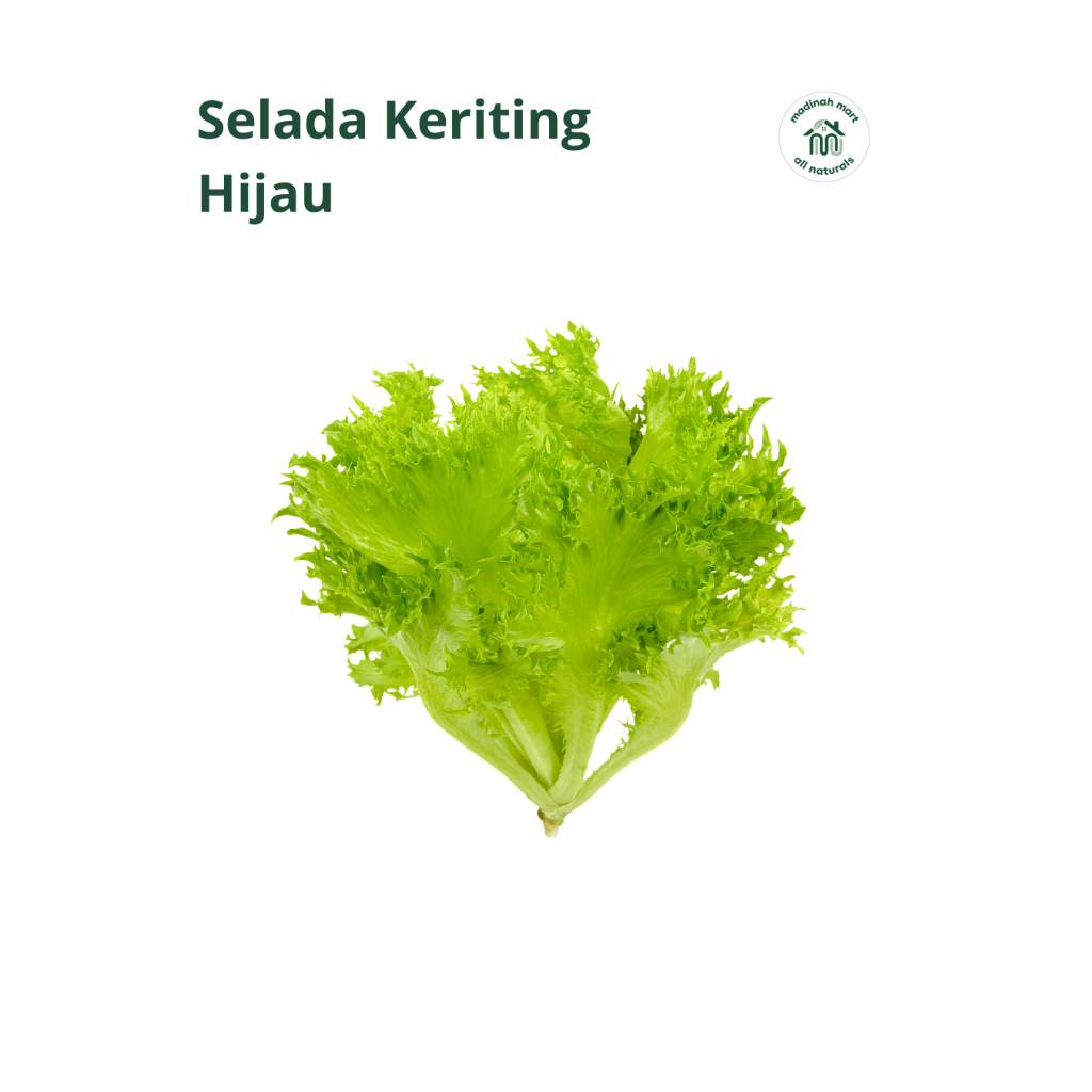 Jual Organik Selada Keriting Hijau 150gr | Shopee Indonesia