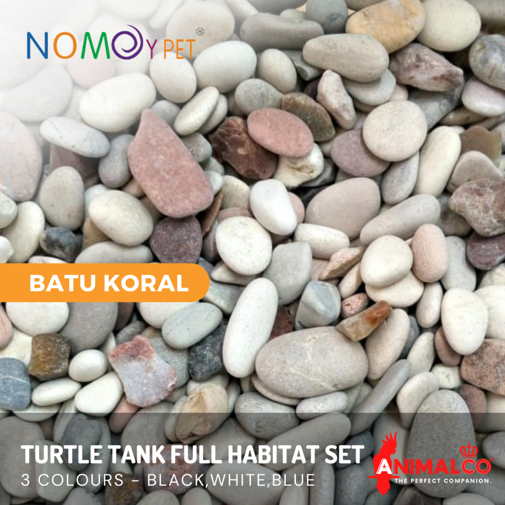 Jual TANK TURTLE M AQUARIUM EMBER KANDANG VIVARIUM AKUARIUM FILTER RUMAH BAK TEMPAT BASKING KURA ...