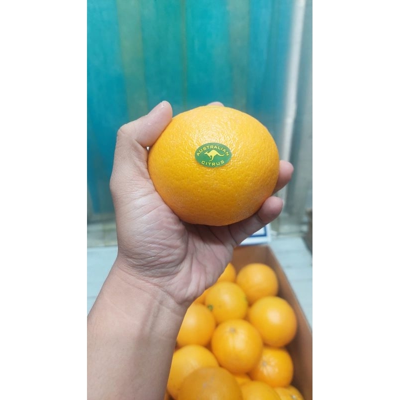 Jual Jeruk Sunkist Valencia 1 Kg | Shopee Indonesia