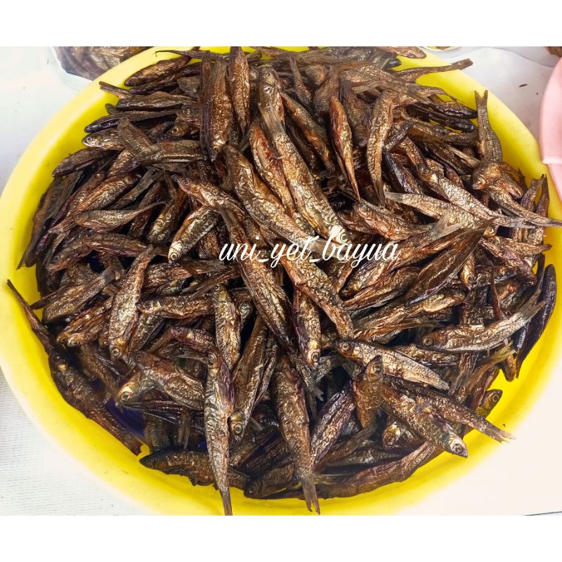 Jual bada masiak 100gr / bada salai asli danau Maninjau/ ikan bada / bada maninjau / bilis salai ...