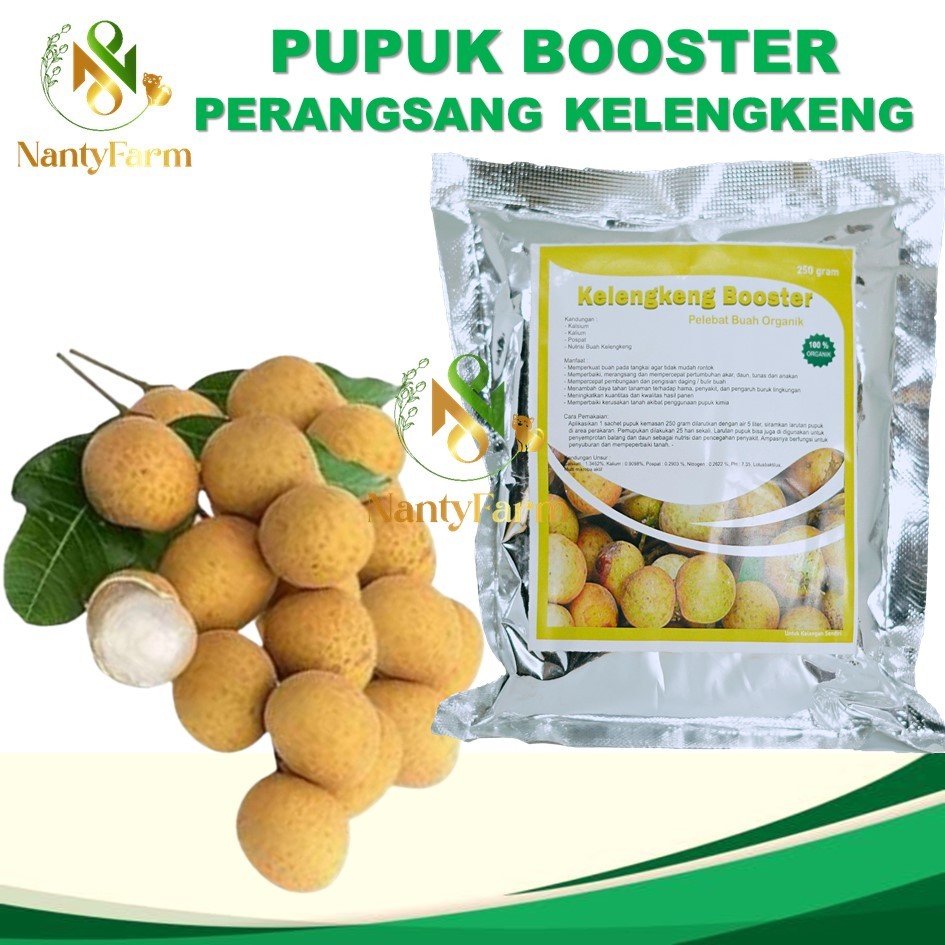 Jual Pupuk Ampuh Booster Kelengkeng Organik Perangsang Buah Anti Rontok - Pupuk Buah Organik ...