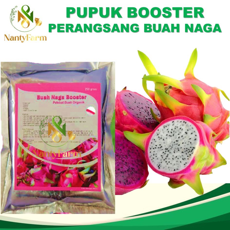 Jual Pupuk Booster Organik Buah Naga Anti Rontok Pelebat Buah Naga 250 Gram | Shopee Indonesia