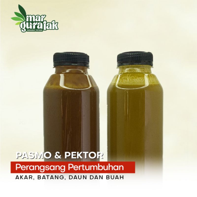 Jual PAKET PASMO DAN PEKTOR | Shopee Indonesia