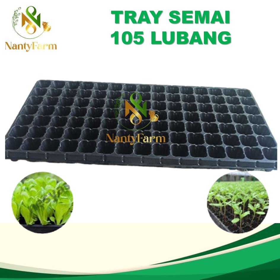 Jual Tray Semai 105 Lubang Traypot Pot Bibit Biji Nampan - Tray Semai ...