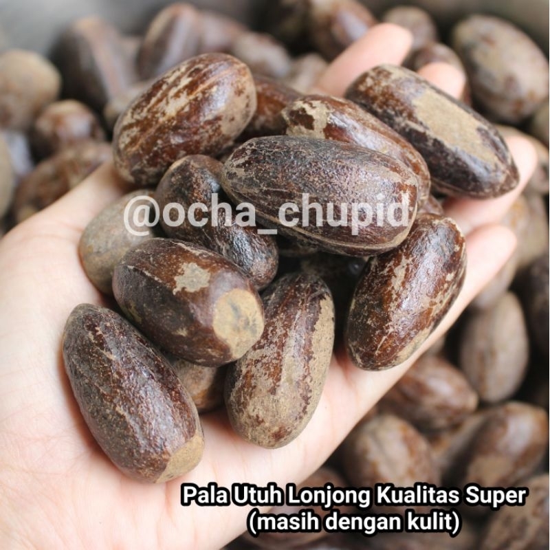 Jual Pala / pala lonjong / pala kocak 1kg | Shopee Indonesia