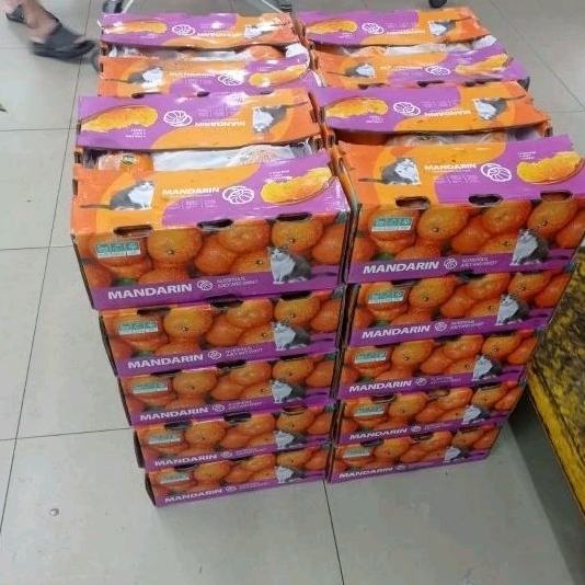 Jual BUAH JERUK MANDARIN HONEY MURCOT SUPER JUMBO | BOX | Shopee Indonesia