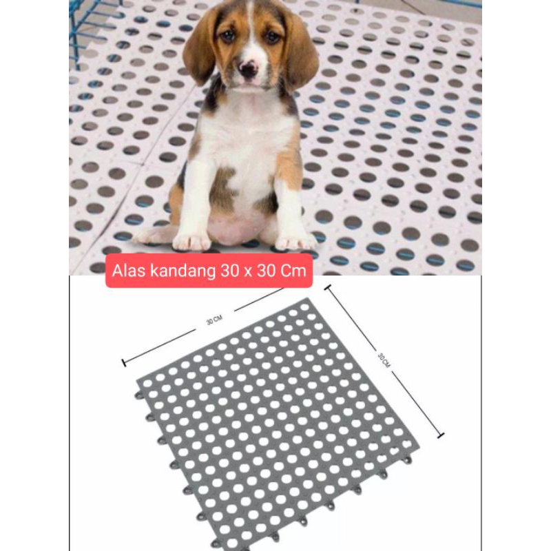 Jual Karpet karet alas kandang kucing//kelinci sugar glider dll alas ...
