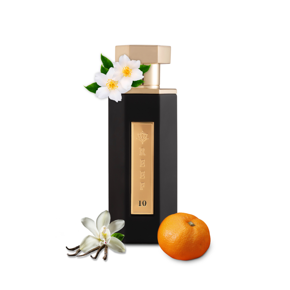 Jual REEF PERFUME KSA 15 21 31 33 39 100 ML PARFUM REEF ARAB | Shopee ...