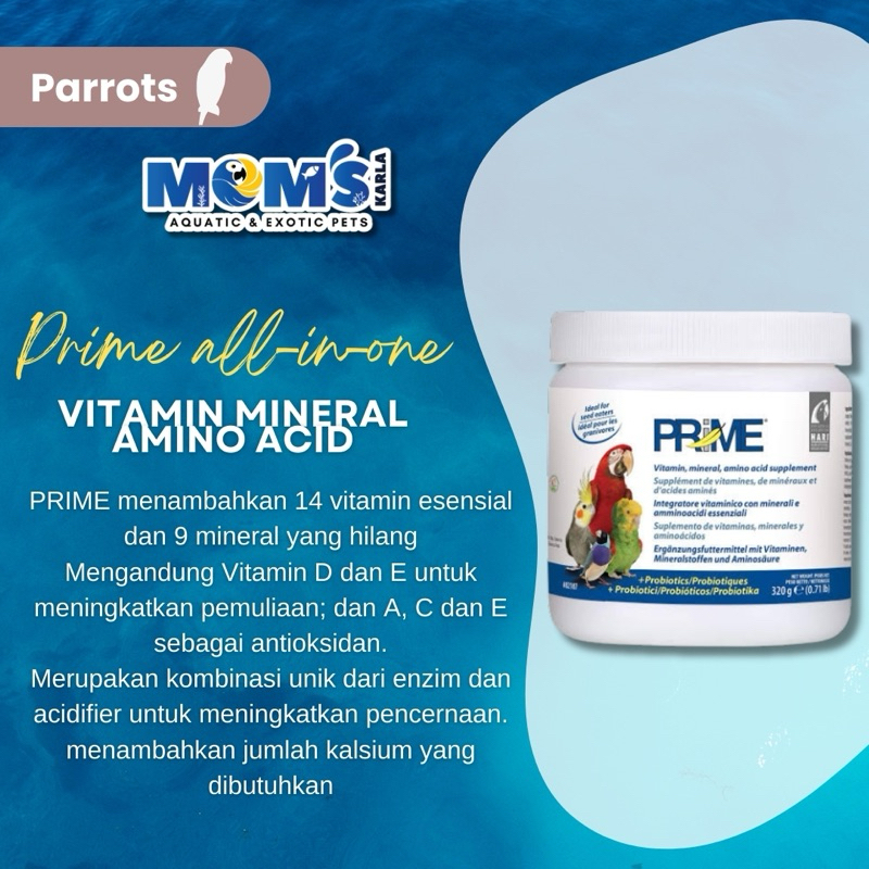 Jual Hagen Prime All-in-one Bird Supplement Vitamin Mineral Amini Acid ...
