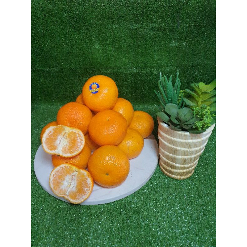 Jual Jeruk Wogan 1kg | Shopee Indonesia