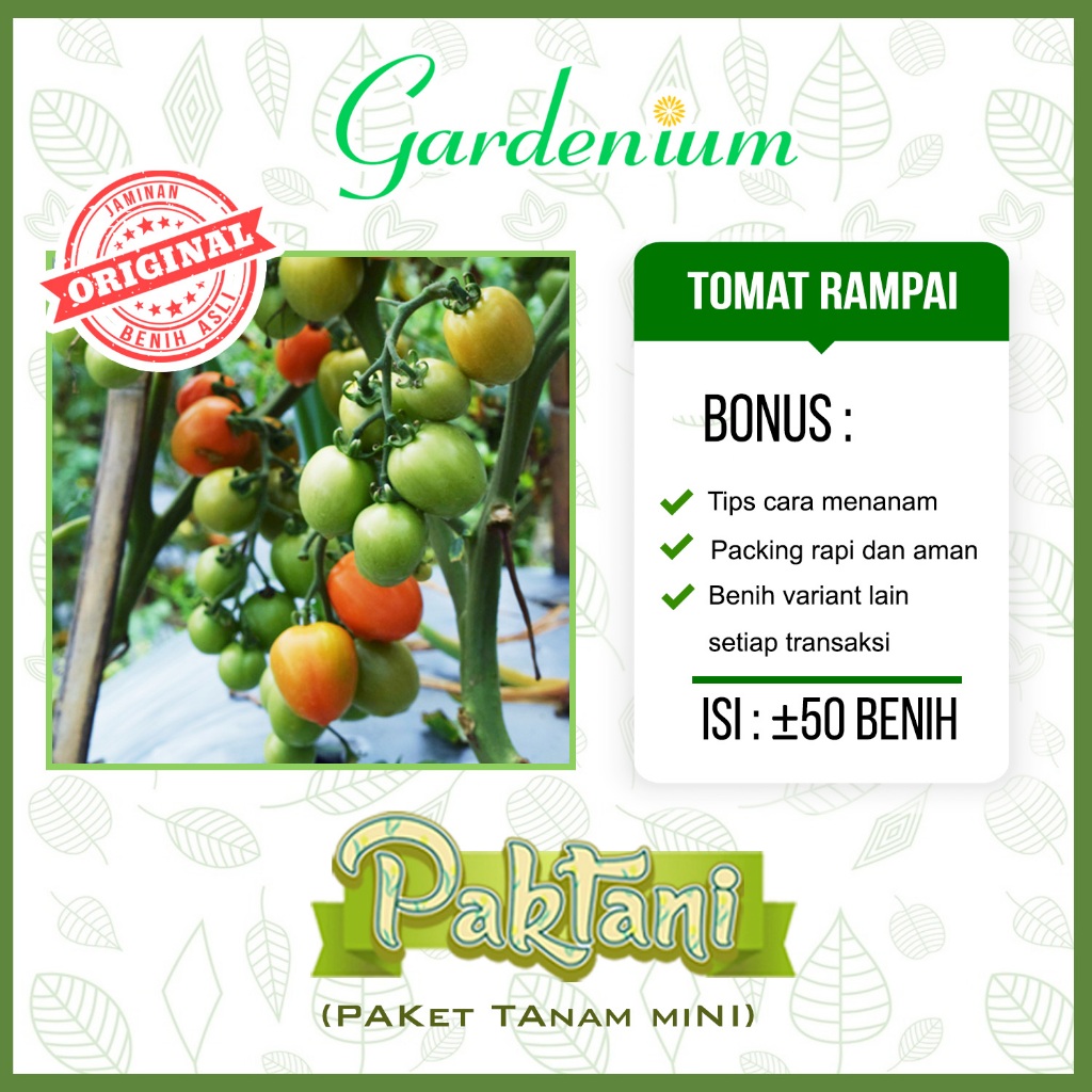 Jual 50 Benih Tomat Rampai Tomato Seed Paktani | Shopee Indonesia