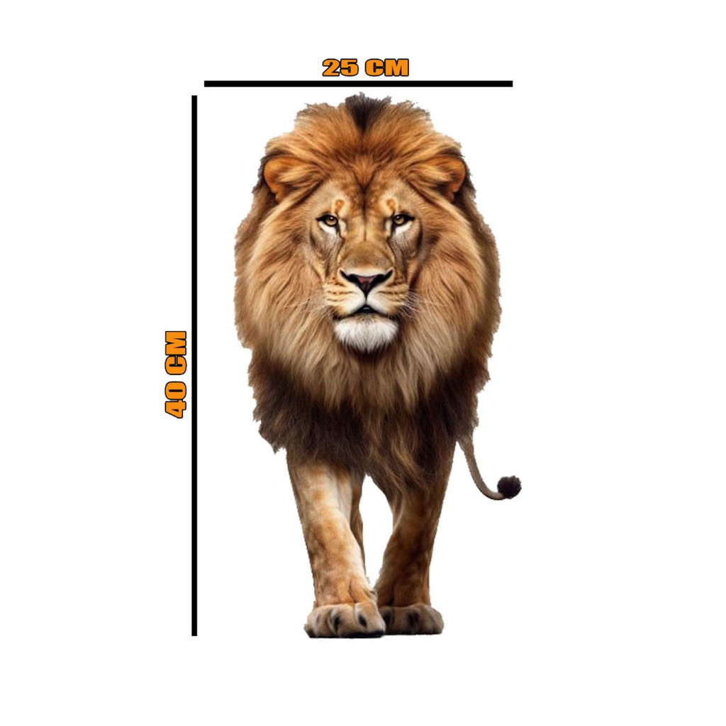 Jual Stiker bahan vinyl cutting uk gambar 25 x 40 cm objek gambar asli ...