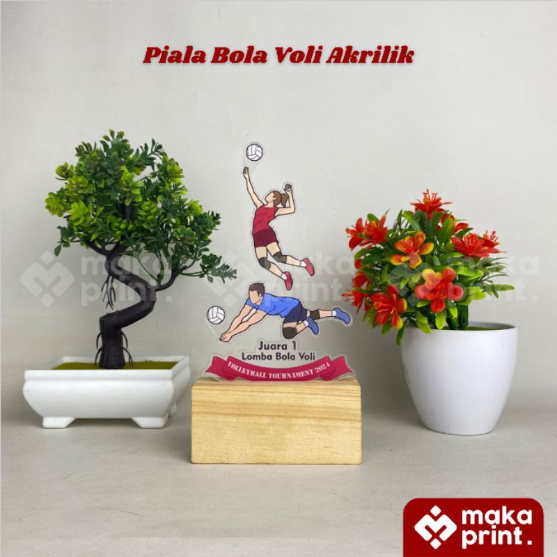 Jual Piala Akrilik (Bola Voli) Tatakan Kayu Free Stiker - Piala Bola ...