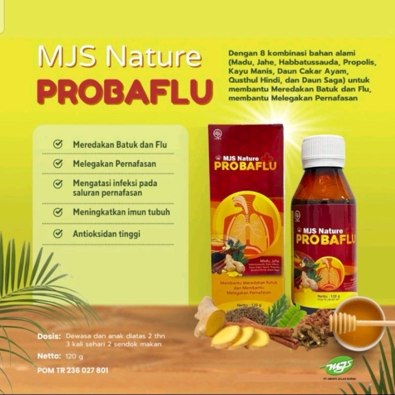 Jual "PROBAFLU" OBAT "BATUK" DAN "FLU"HERBAL MJS NATURE | Shopee Indonesia