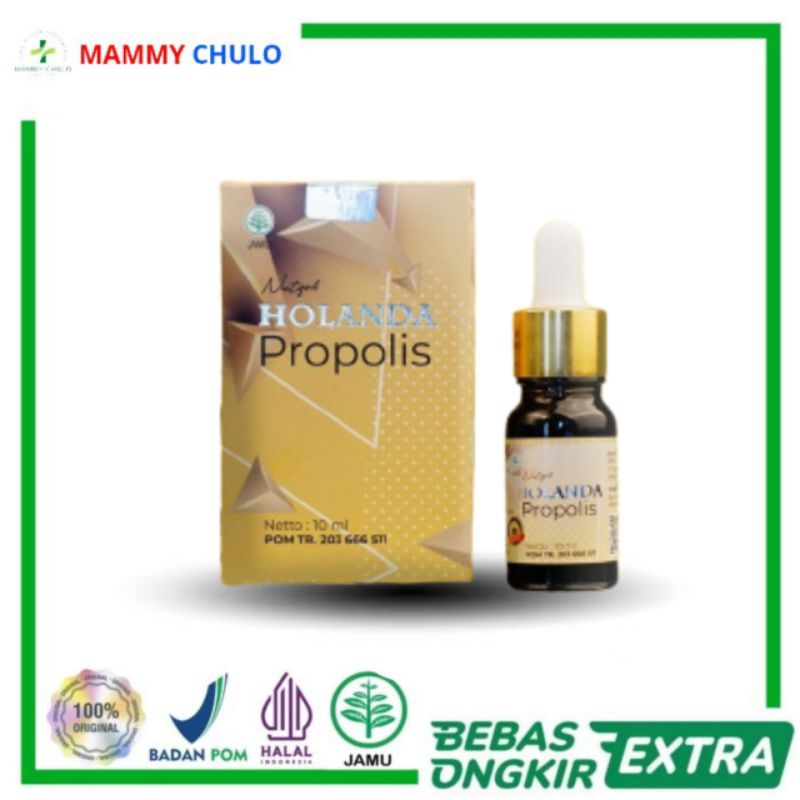 Jual Holanda Propolis Obat Kolesterol Diabetes Hipertensi Kencing Manis ...