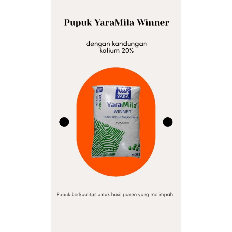 Jual pupuk npk yara mila winner untuk pembuahan | Shopee Indonesia