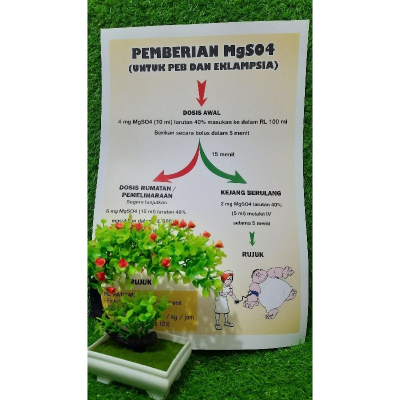 Jual Poster Pemberian MgSO4 untuk PEB dan Eklampsia | Shopee Indonesia