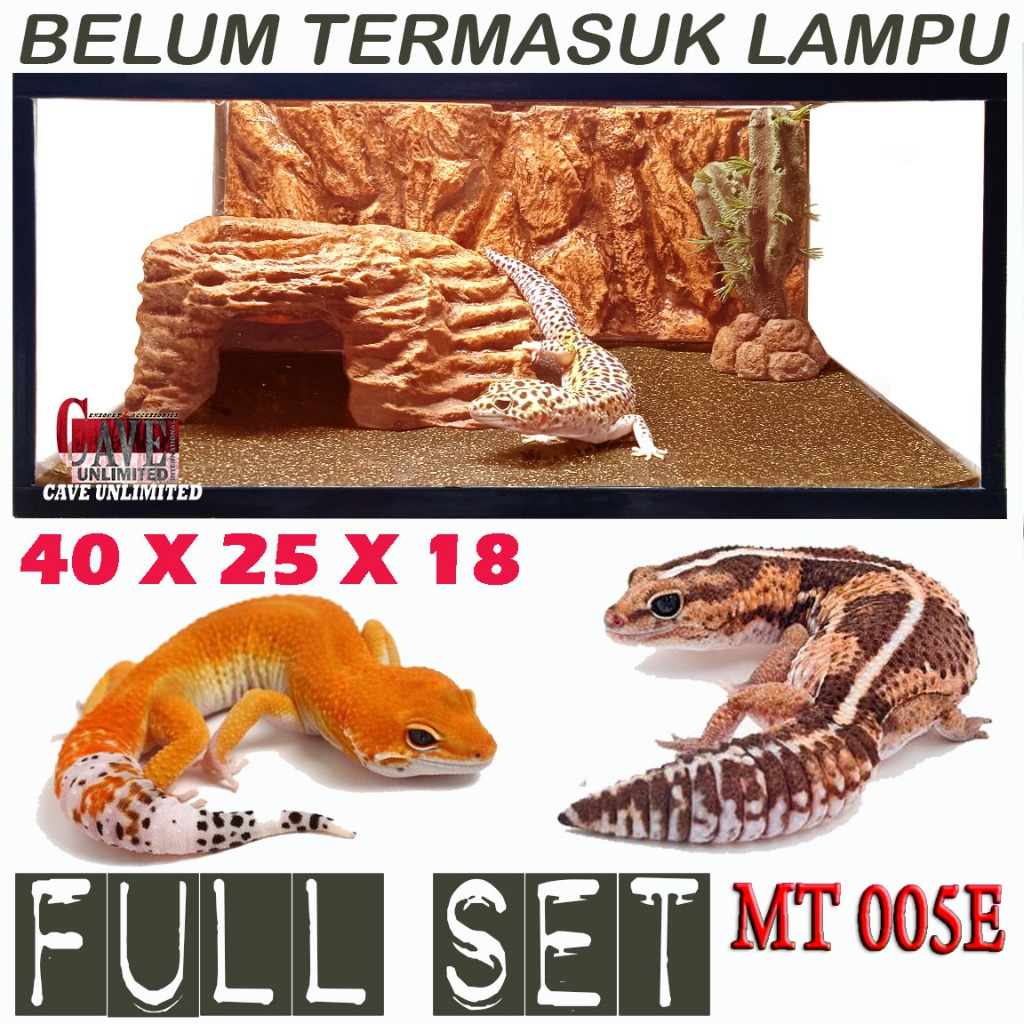 Jual MT005E FULL SET KANDANG LEOPARD GECKO TOKEK KADAL TERRARIUM GEX L LOW PENDEK PAKET ...