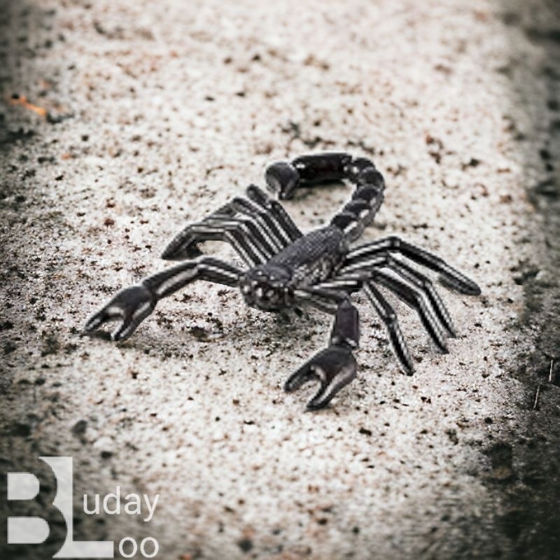 Jual Mainan Miniatur Kalajengking Scorpion 6 cm s4 Serangga Animal ...