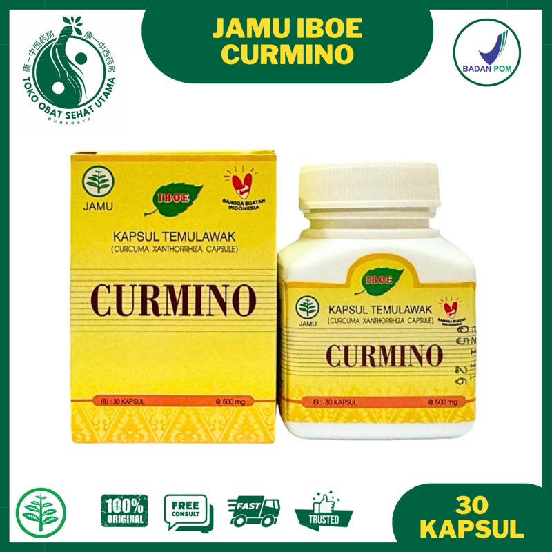 Jual JAMU IBOE CURMINO CAPSULE / Kapsul Ekstrak Temulawak Curcuma ...