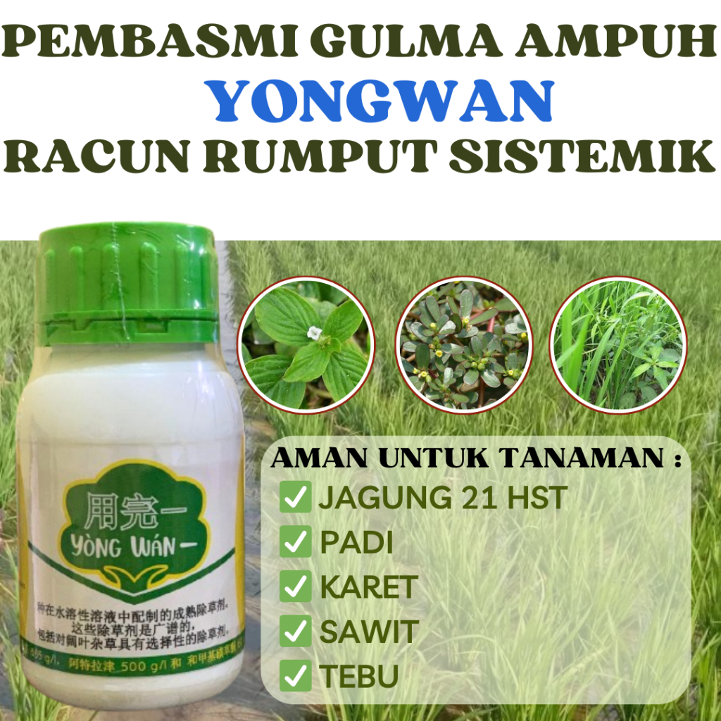 Jual Herbisida Obat Racun Pembasmi Gulma Rumput Liar Yongwan Yong Wan ...