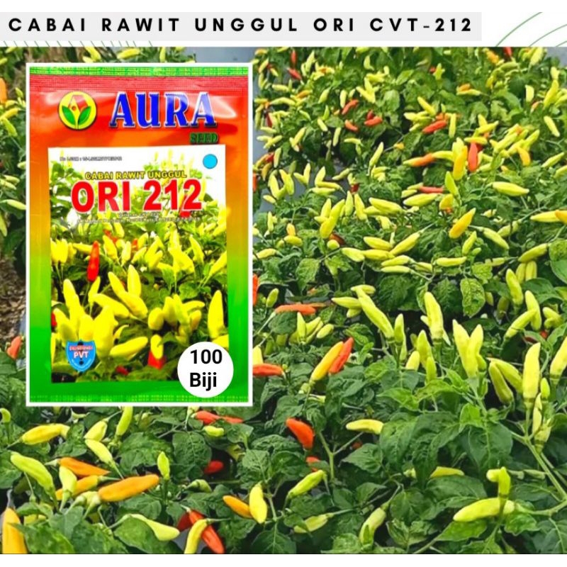 Jual 100 Biji Cabai Rawit Ori 212 | Benih Cabai Rawit Ori 212 | Cabai ... Jual 100 Biji Cabai Rawit Ori 212 | Benih Cabai Rawit Ori 212 | Cabai ...