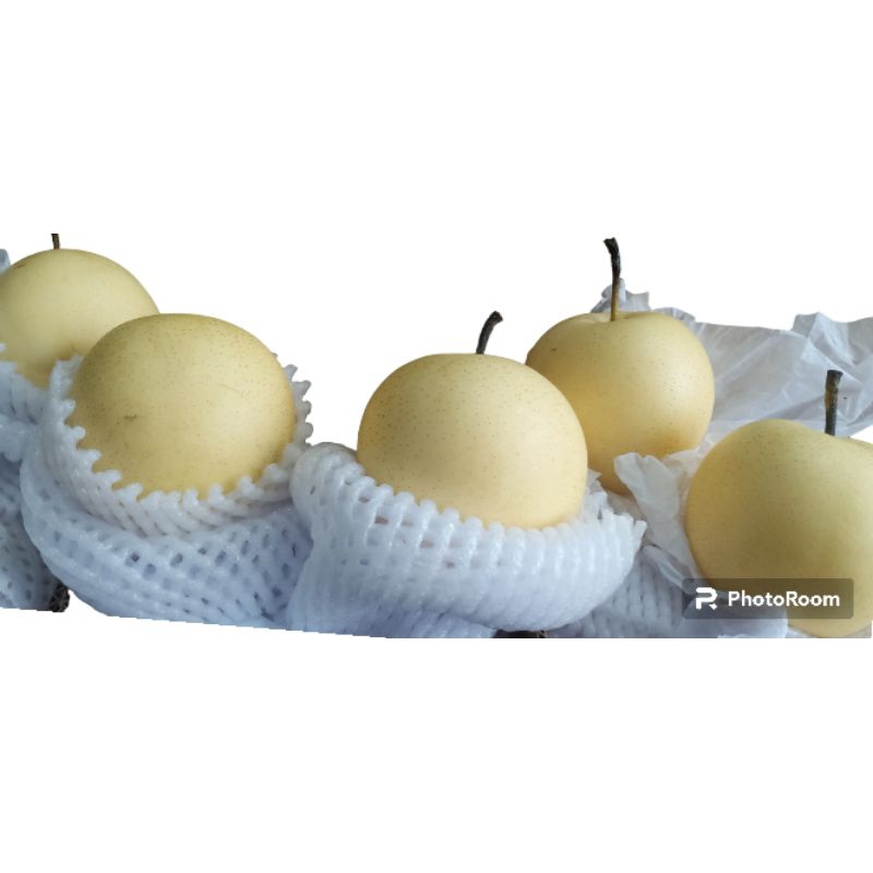 Jual PEAR CENTURY (PEAR MADU ) FRESS 1KG(PACKING KARDUS) | Shopee Indonesia