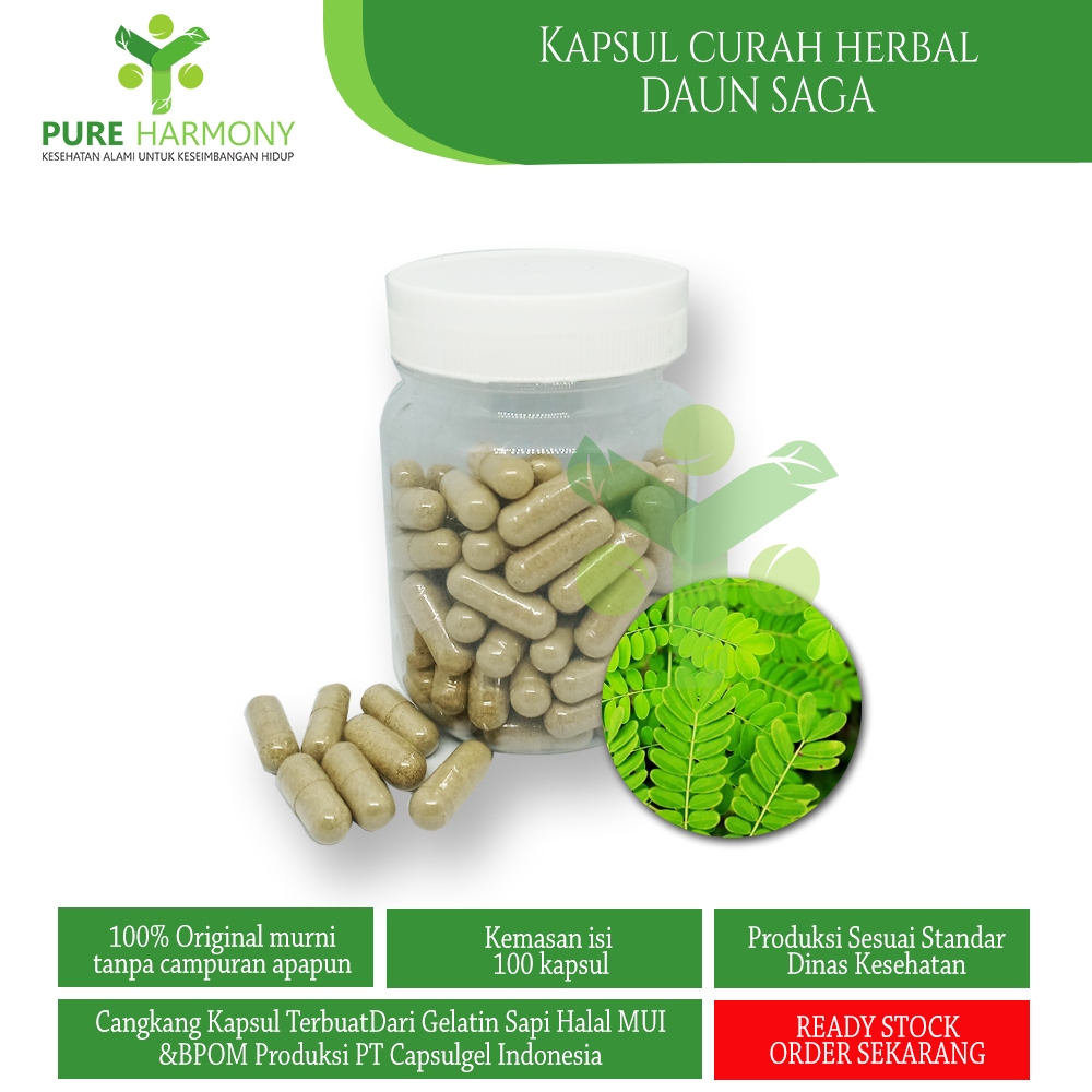 Jual DAUN SAGA 100 kapsul herbal Hipertensi Sakit Kuning Batuk Kering ...
