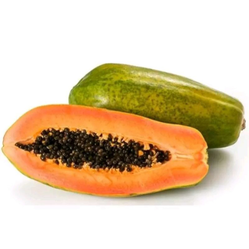 Jual Benih pepaya California Calina kemasan repack lokal cocok untuk ...