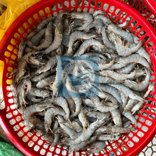 Jual Udang Per Kg Terlengkap & Harga Terbaru Maret 2026 | Shopee Indonesia