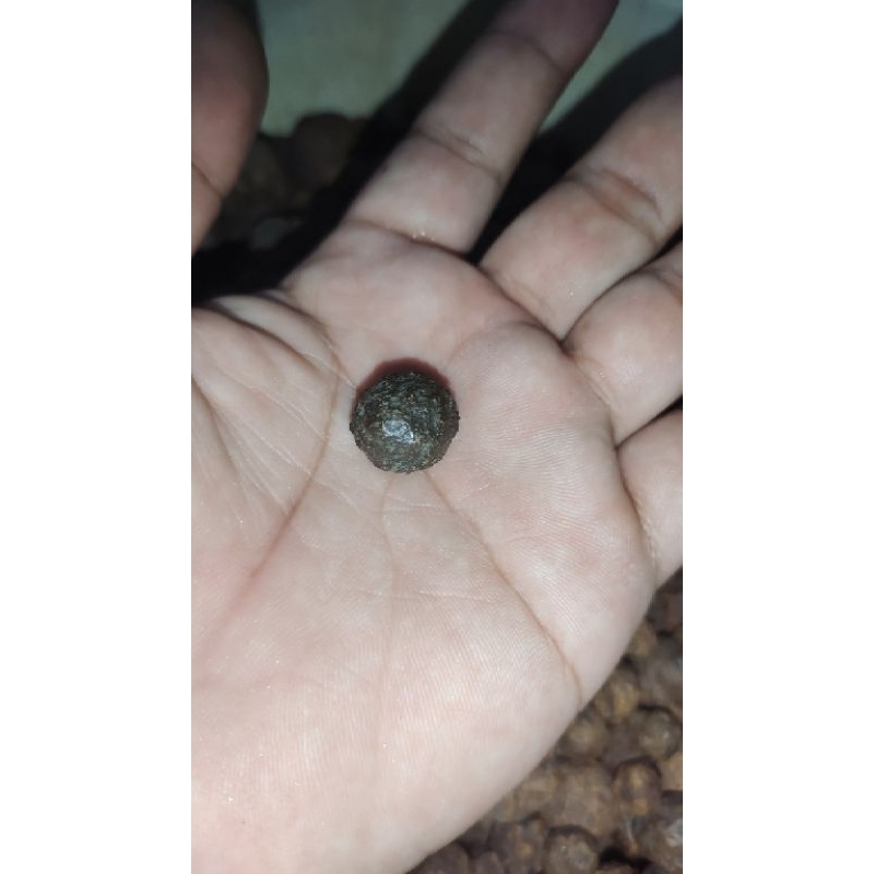 Jual MUNTA BESI | Shopee Indonesia