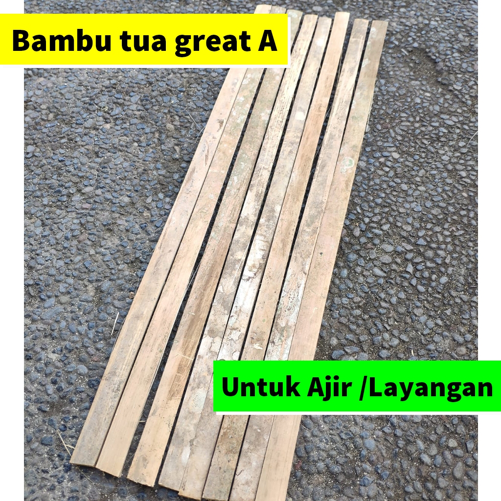 Jual Bambu tua pilihan untuk layangan / ajir / banner panjang 60-75 CM ...