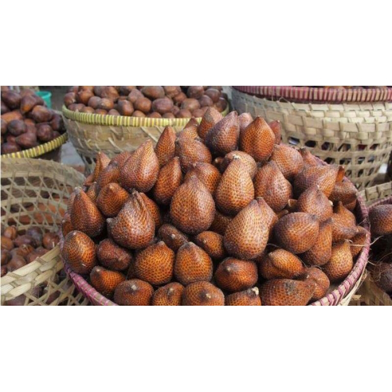 Jual buah salak pondoh segar berat 1 kg | Shopee Indonesia